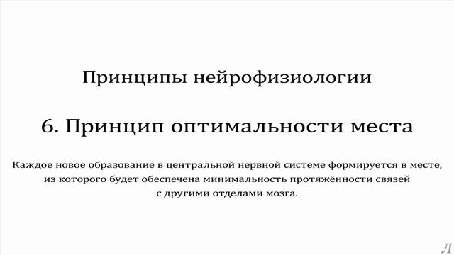 9.6 Принципы нейрофизиологии. Принцип оптимальности места