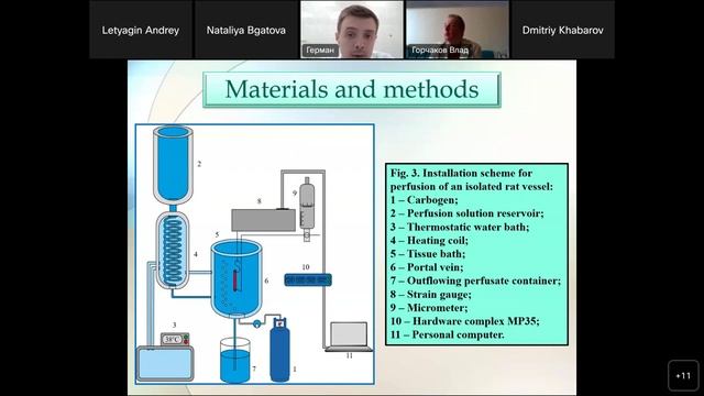Влияние иммобилизованных субтилизинов и нитроглицерина на вазомоторную актив-сть воротной вены крысы