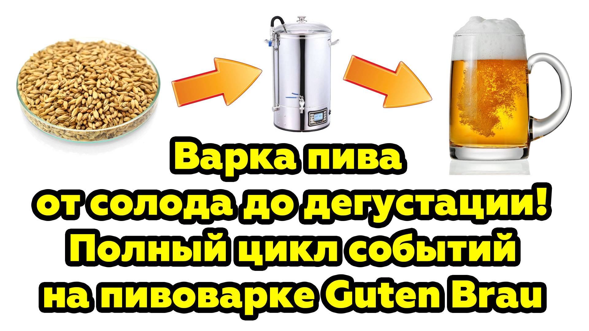 Варка пива! От солода до дегустации на пивоварне Guten Brau!