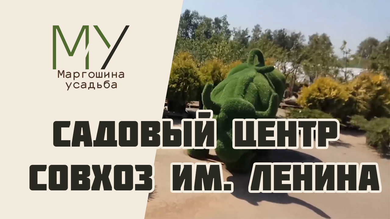 Обзор на Садовый центр ЗАО Совхоз им. Ленина