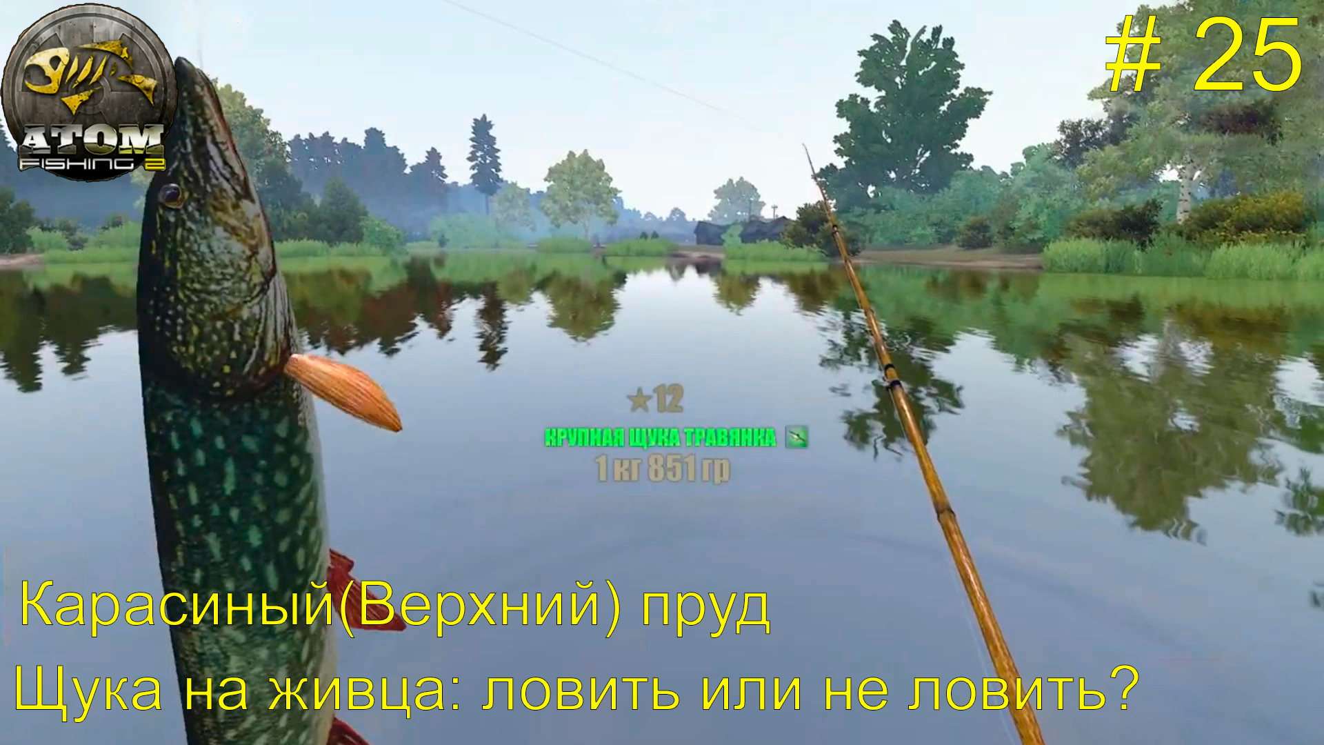 Карасиный(Верхний) пруд - щука на живца. Ловить или не ловить?  # 25. Atom  Fishing II