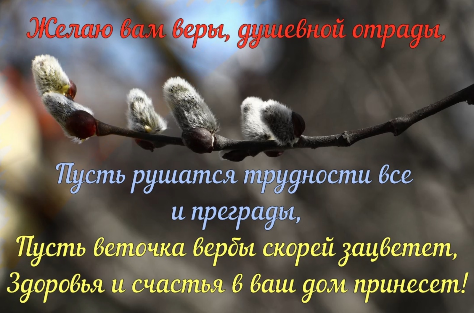 с Вербным воскресеньем поздравления! Вербное воскресенье 2021. Музыкальная открытка