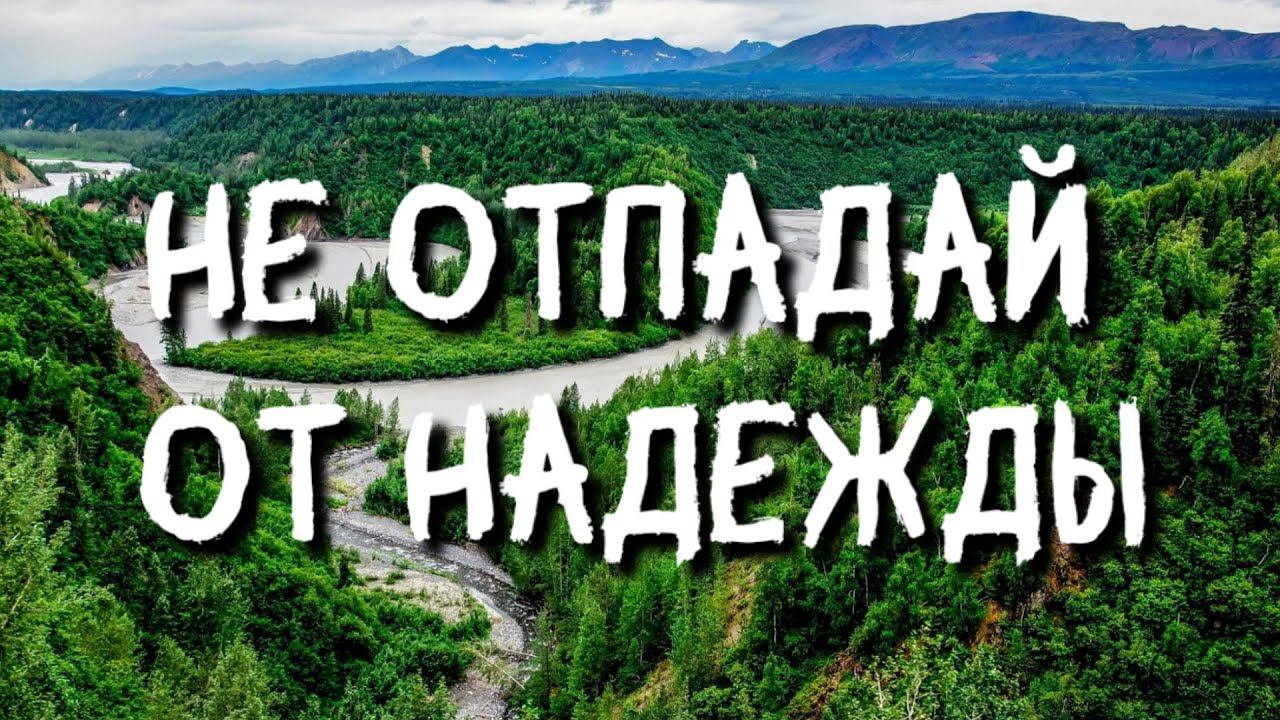 Не отпадай от надежды | Александр Шилов | 11.08.23