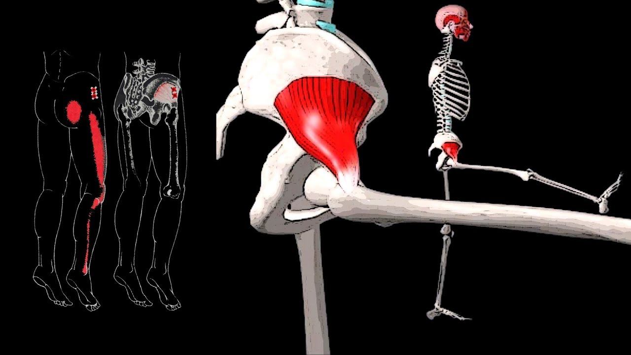 БОЛИТ ЯГОДИЦА И ОТДАЕТ В НОГУ  МАЛАЯ ЯГОДИЧНАЯ МЫШЦА ⭐ SLAVYOGA