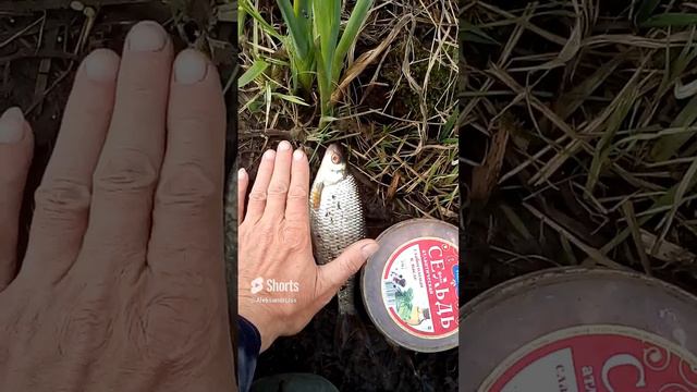 ПЕРВАЯ МАМКА 200 ГРАМ