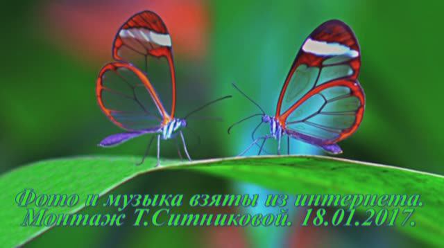 THE GREEN LEAVES OF SUMMER - МОНТАЖ ТАТЬЯНЫ СИТНИКОВОЙ