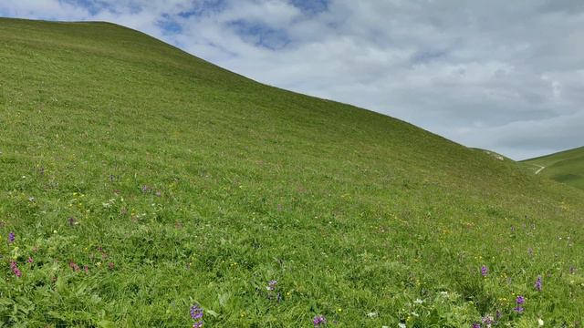 Собственно наш сложный, но весёлый путь на Бермамыт!