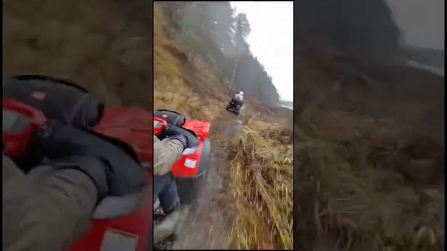 -Олег сказал😜