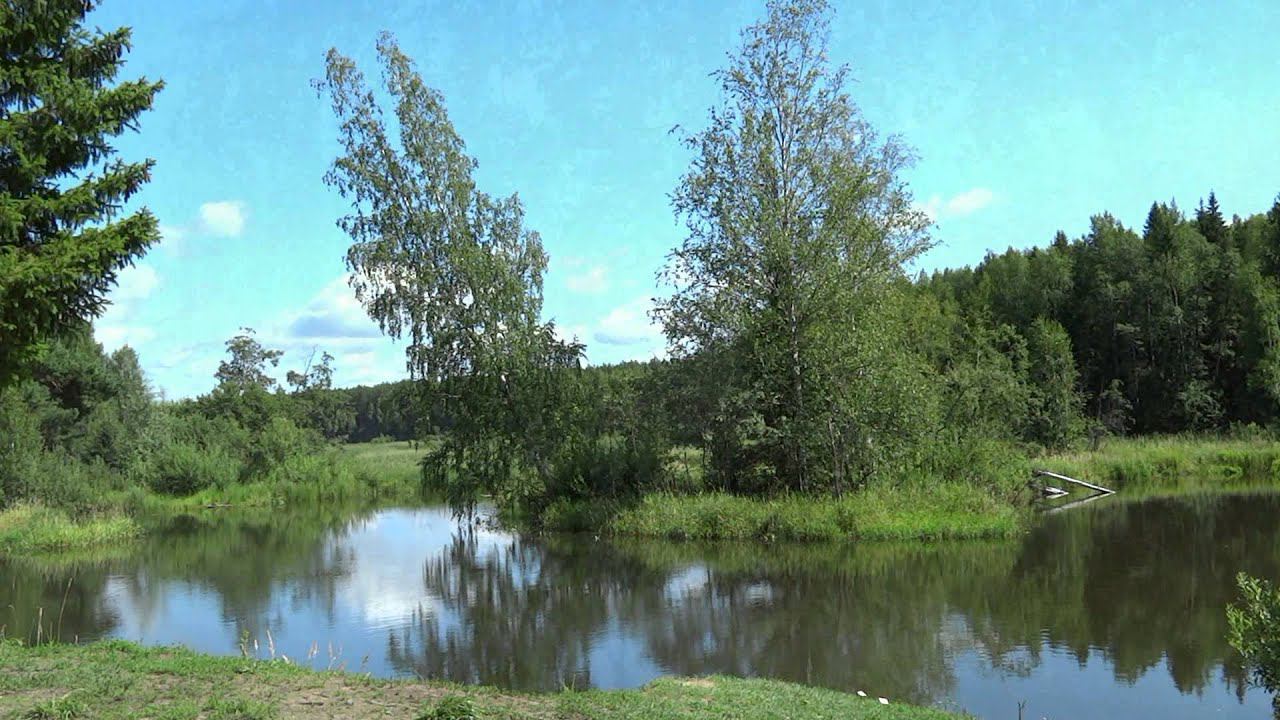 Воспоминание о лете