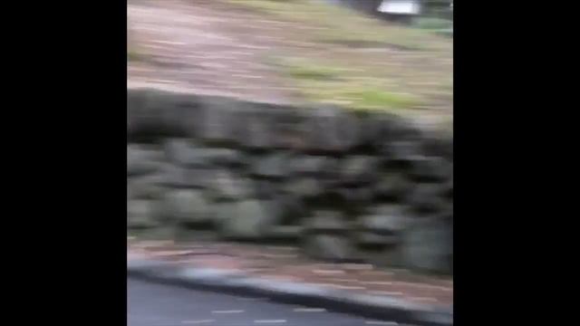 Мираслава -звезочка 2018 года