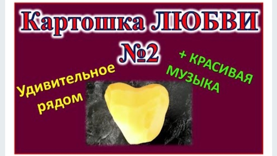 КАРТОШКА ЛЮБВИ. Удивительное рядом. Александра Миркушова