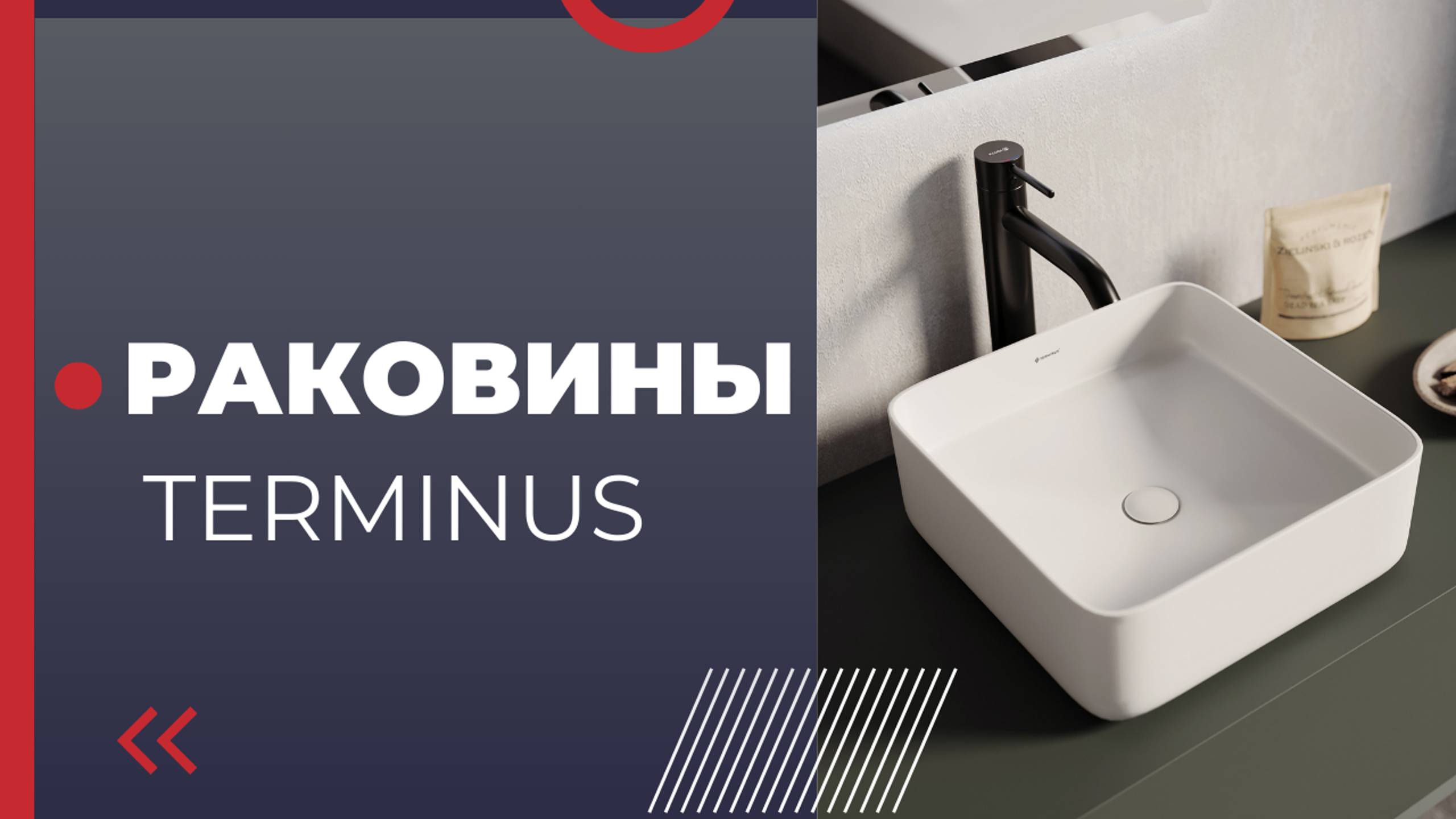 Раковины Terminus | Терминус