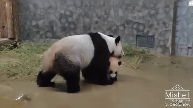 Детство Катюши 5 серия