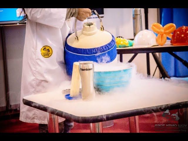 Крио-шоу и мороженое