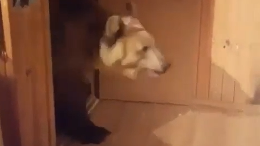 Будни России..mp4