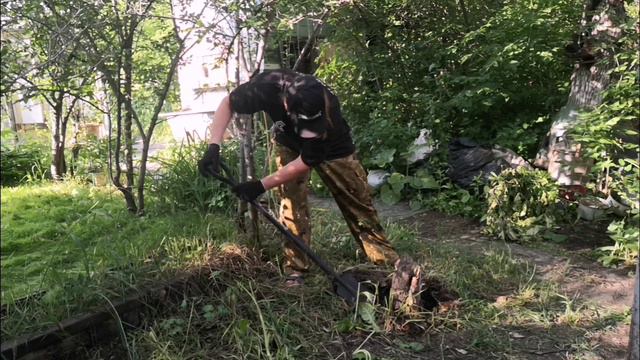 Садовый участок. Часть 13