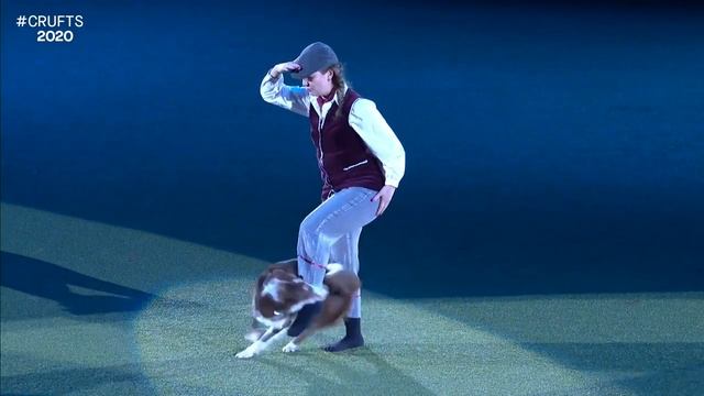 Freestyle dog Crufts 2020