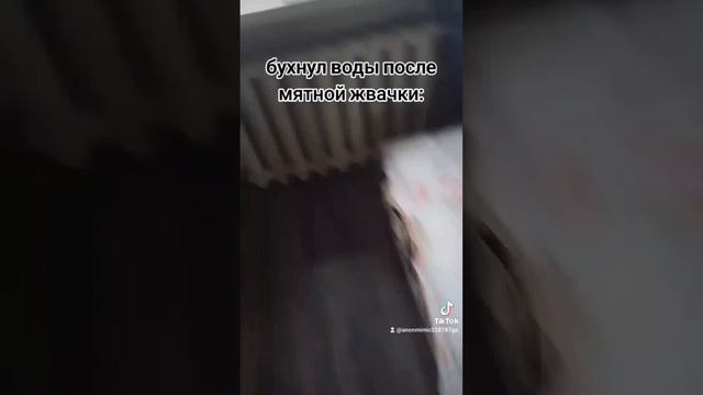 описание съел снюсоед