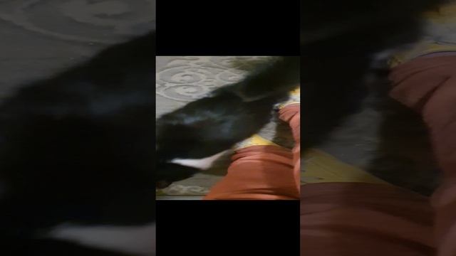 Встреча дома.