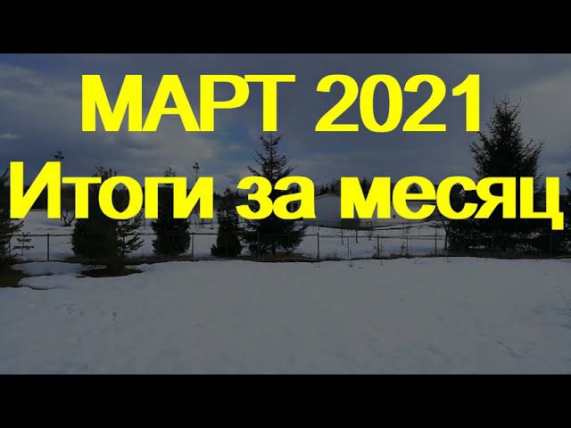 Итоги за март2021. + "бонус"
