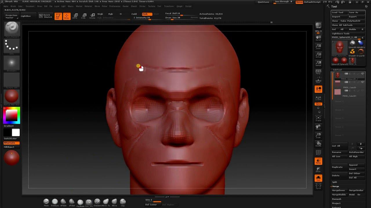 Anat Vol 02 10  Face Features 1 2