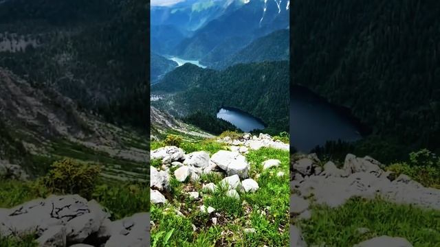 Озеро Рица, Абхазия #shorts