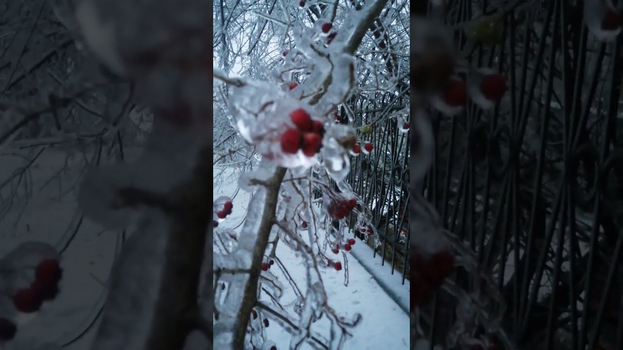 Как я спасала машину!!!!! Ноябрьский ледяной дождь.