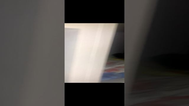 Кошка марта