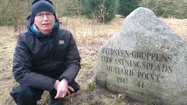 Памятный камень "Группа Видстен" недалеко от места Mustard Point,