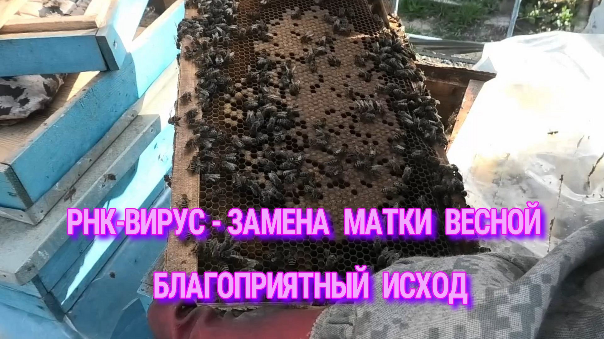 РНК ВИРУС МОЙ СЛУЧАЙ,ИСХОД БЛАГОПРИЯТНЫЙ.