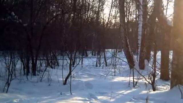 Зимний вечер в Кусково