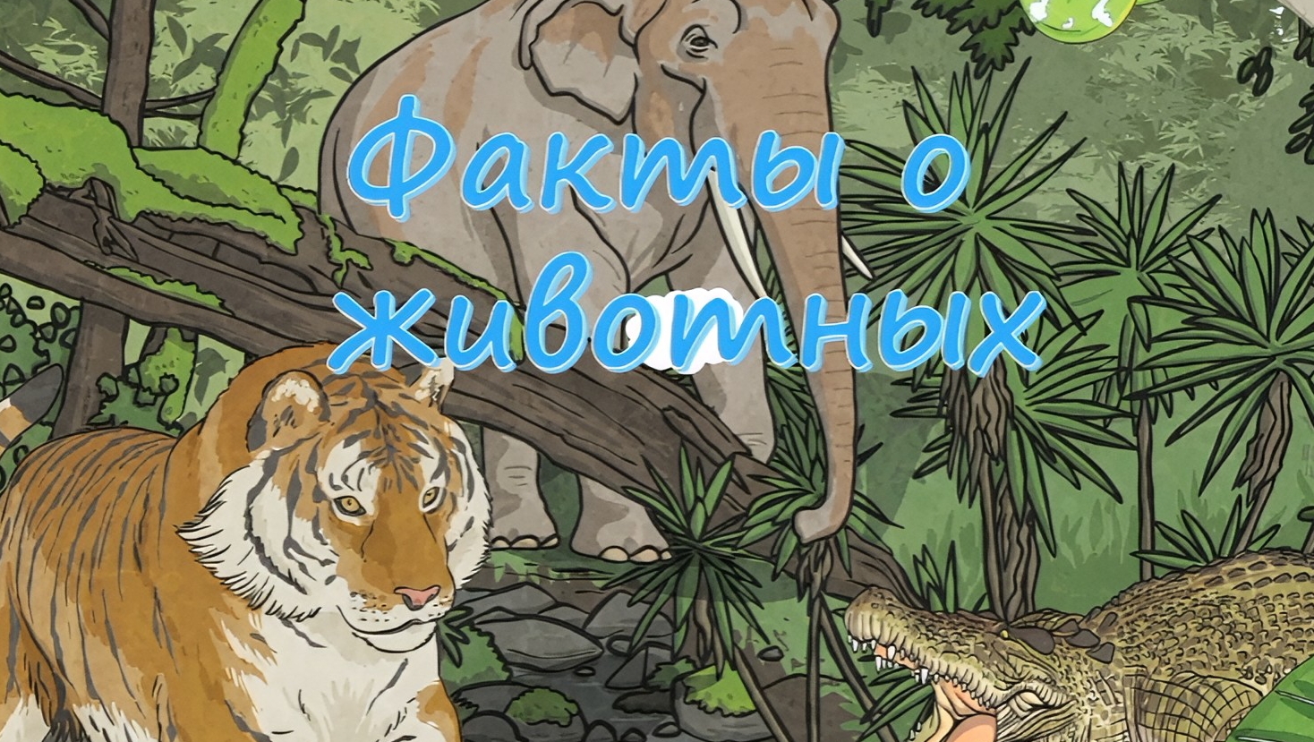 Факты о животных: Тигры | Крокодилы | Косатки | Жирафы | Слоны | Бабочки | Змеи