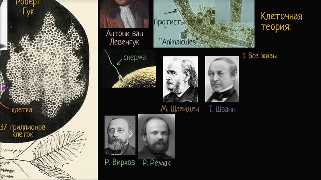 Клеточная теория (видео 3)   Строение клетки   Биология.mp4