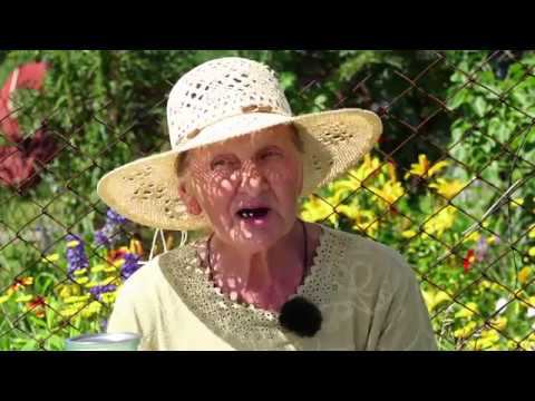 Жилищная лотерея тираж №247 от 20.08.17