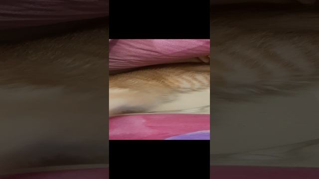 играем) #shorts