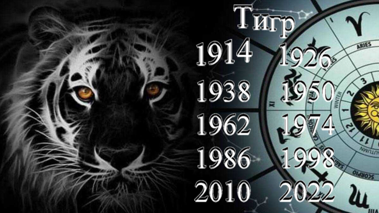 Китайский (Восточный) гороскоп на 2024 год. Тигр