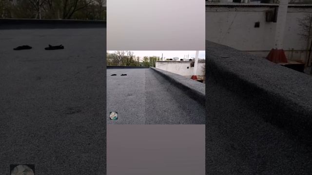 Наплавляемая кровля