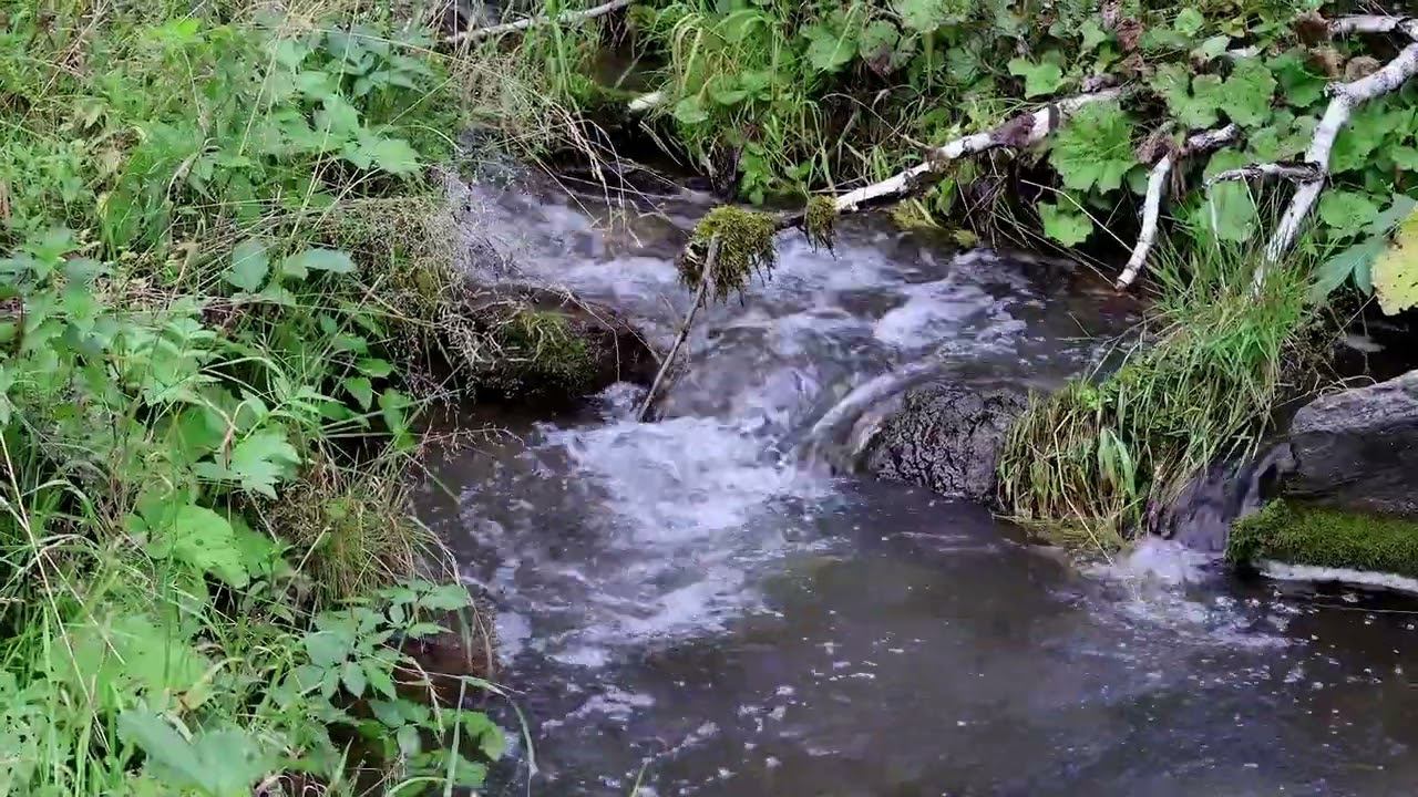 Республика Алтай. Река Уожан