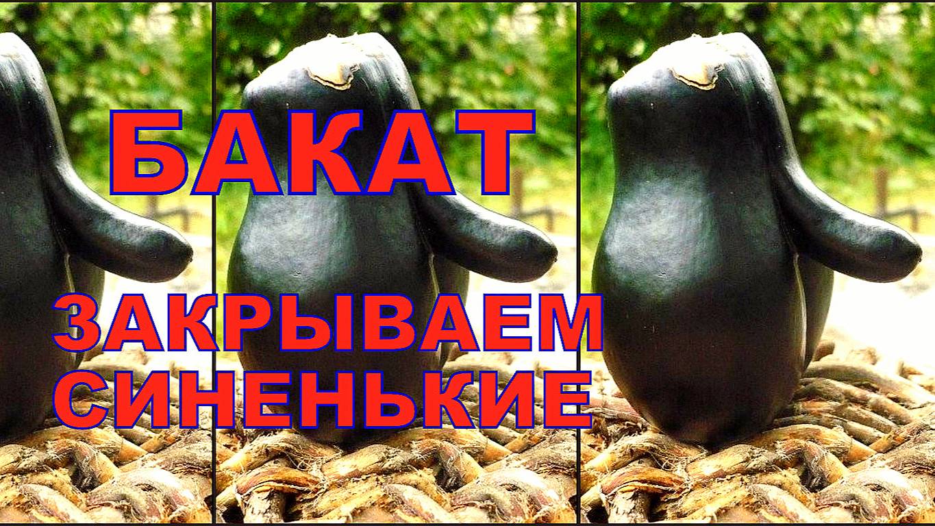 Салат из баклажанов на зиму, рецепт.