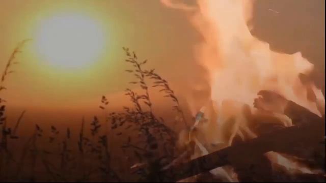 Летнее солнцестояние. Бог летнего Солнца Купала.