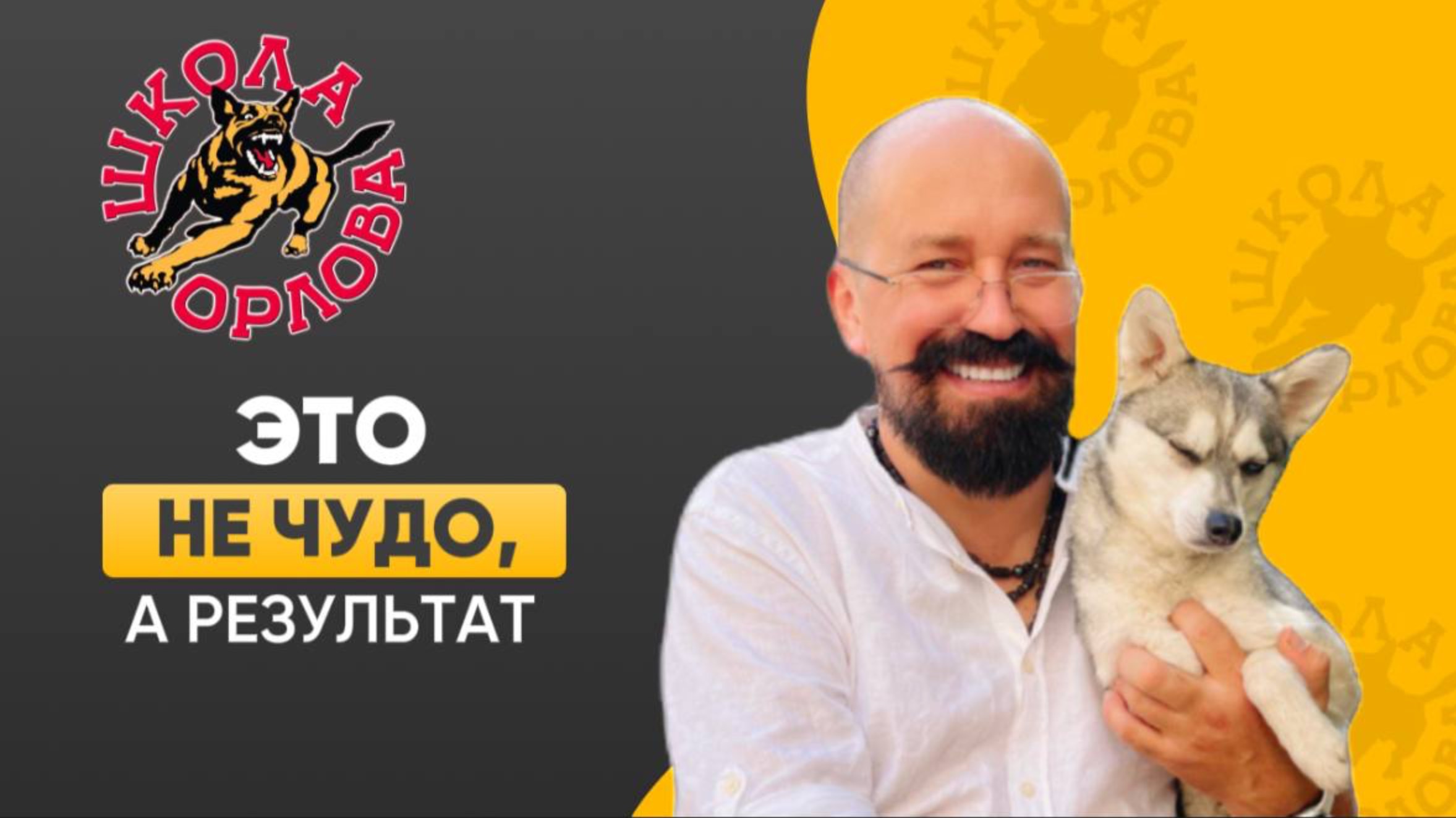 Воспитанная собака – это результат работы хозяина, а не чудо