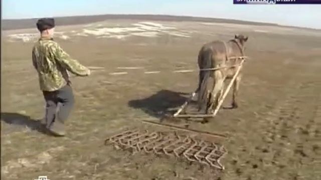 Замкадье ненужно