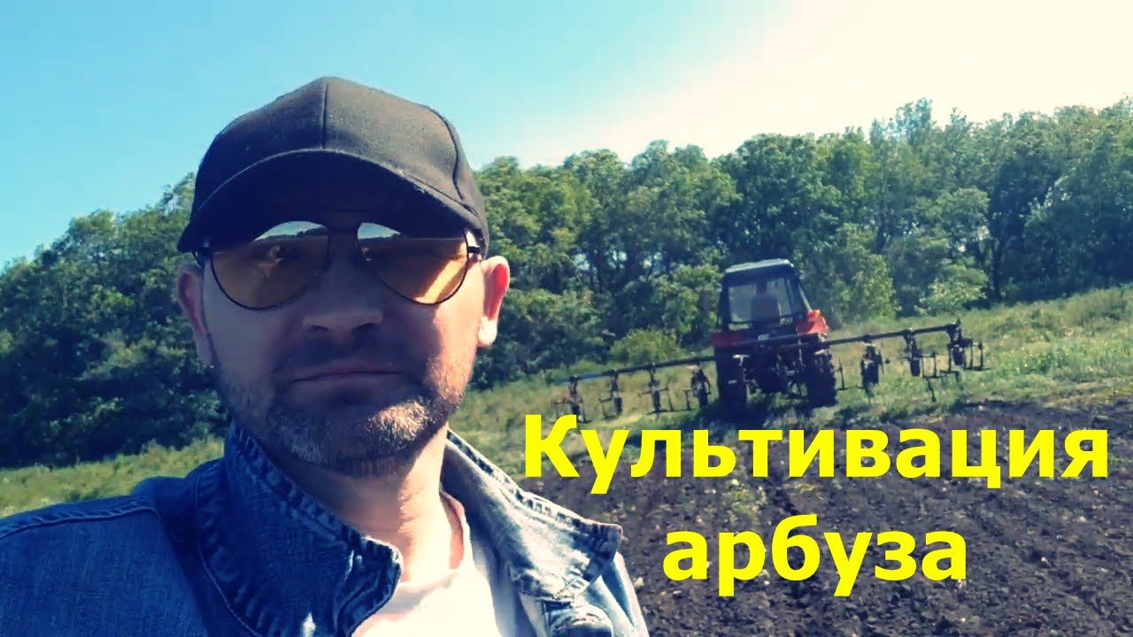 Культивация арбуза  28.05 2020 г