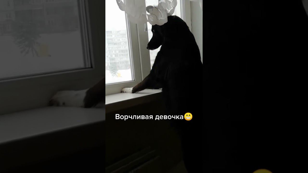 Настроение поворчать😅