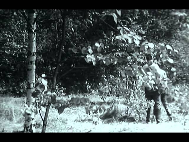 Синяя тетрадь 1963