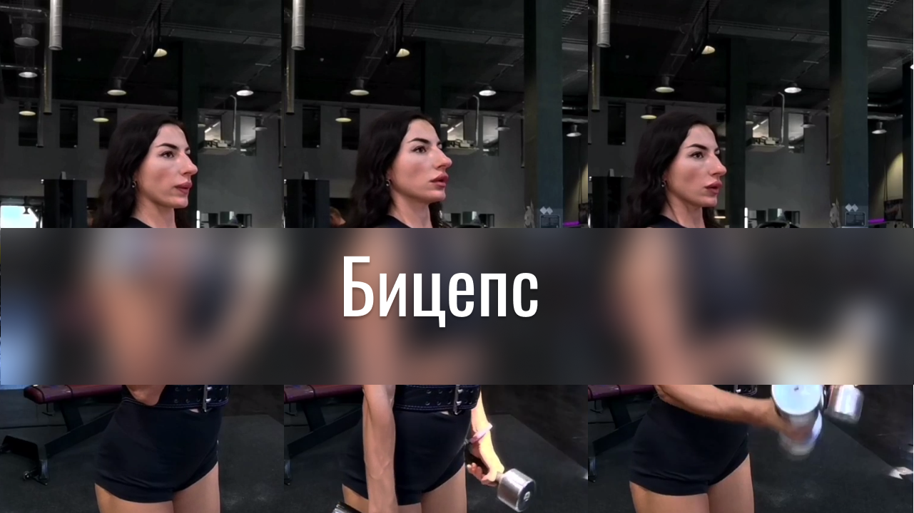 Занятие_0006 Бицепс