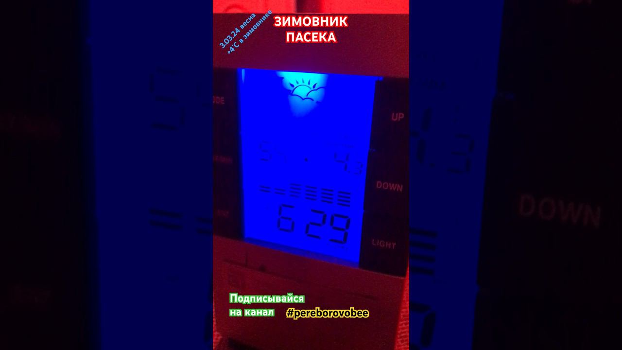 Зимовник на пасеке | ПЧЕЛОВОДСТВО #pereborovobee #улей #пасека #пчеловодство #весна