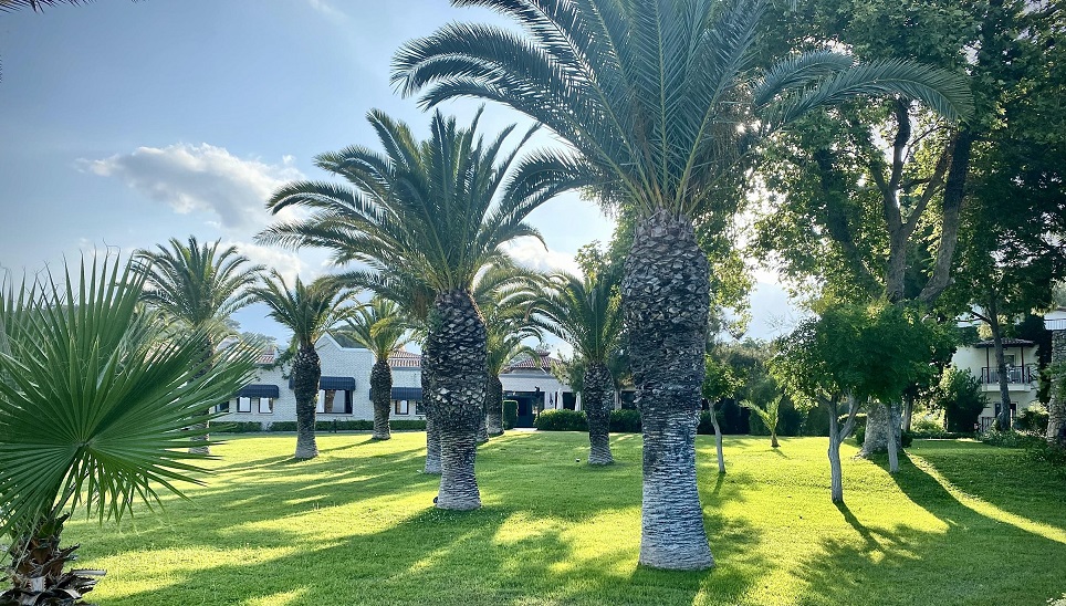 Малышка Оливка. Бабыдеды прилетели :) 2023