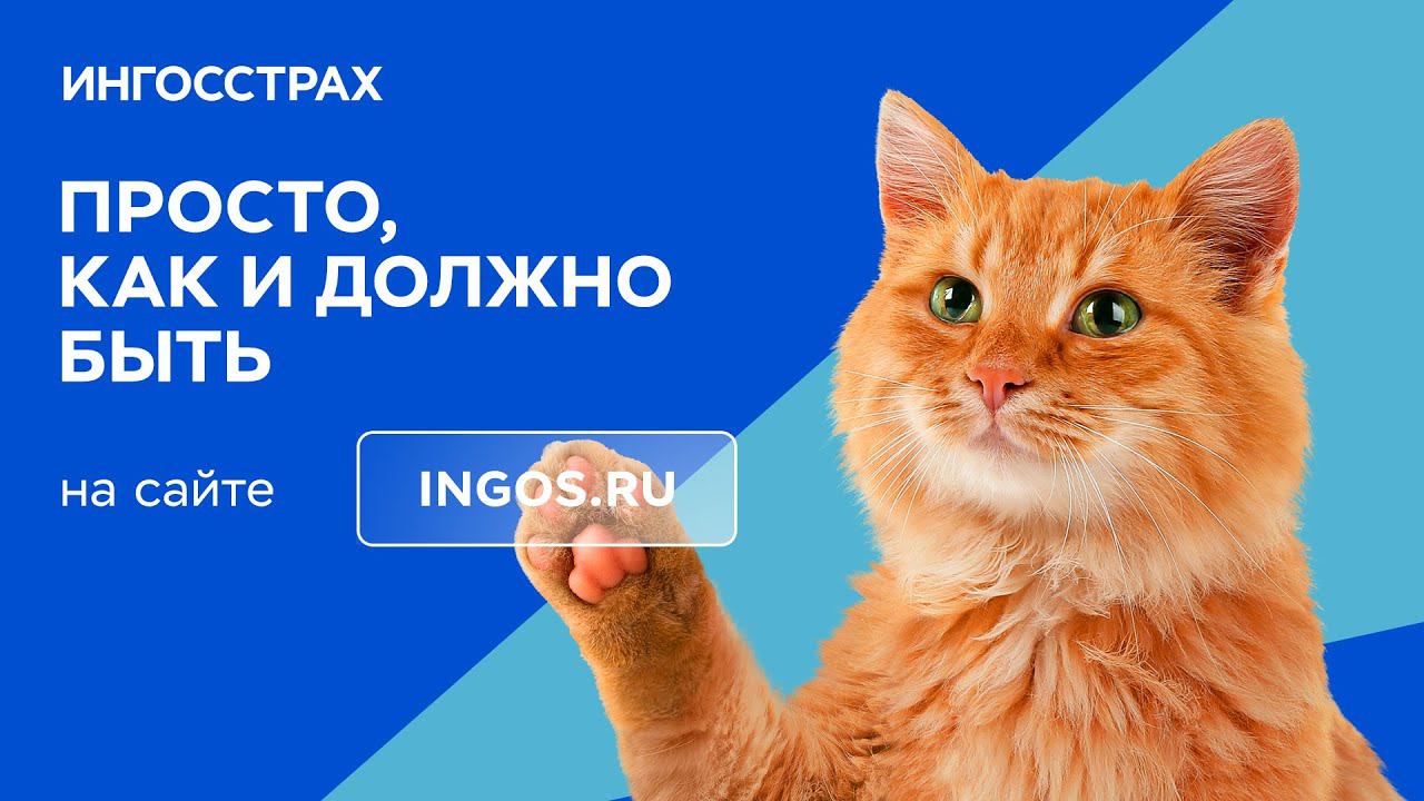 Просто, как и должно быть | Продлить полис на сайте