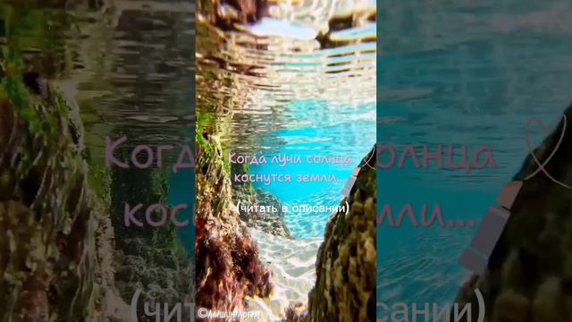 ☀️Когда лучи солнца коснуться земли...🌏